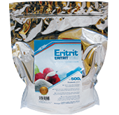 Prémium minőségű étrendkiegészítők egy helyen - bioplanet.hu